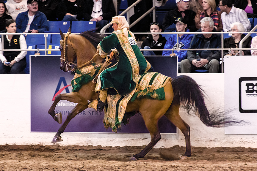 Life After HP - 4/15 - Scottsdale Arabian Horse Show, Part 6