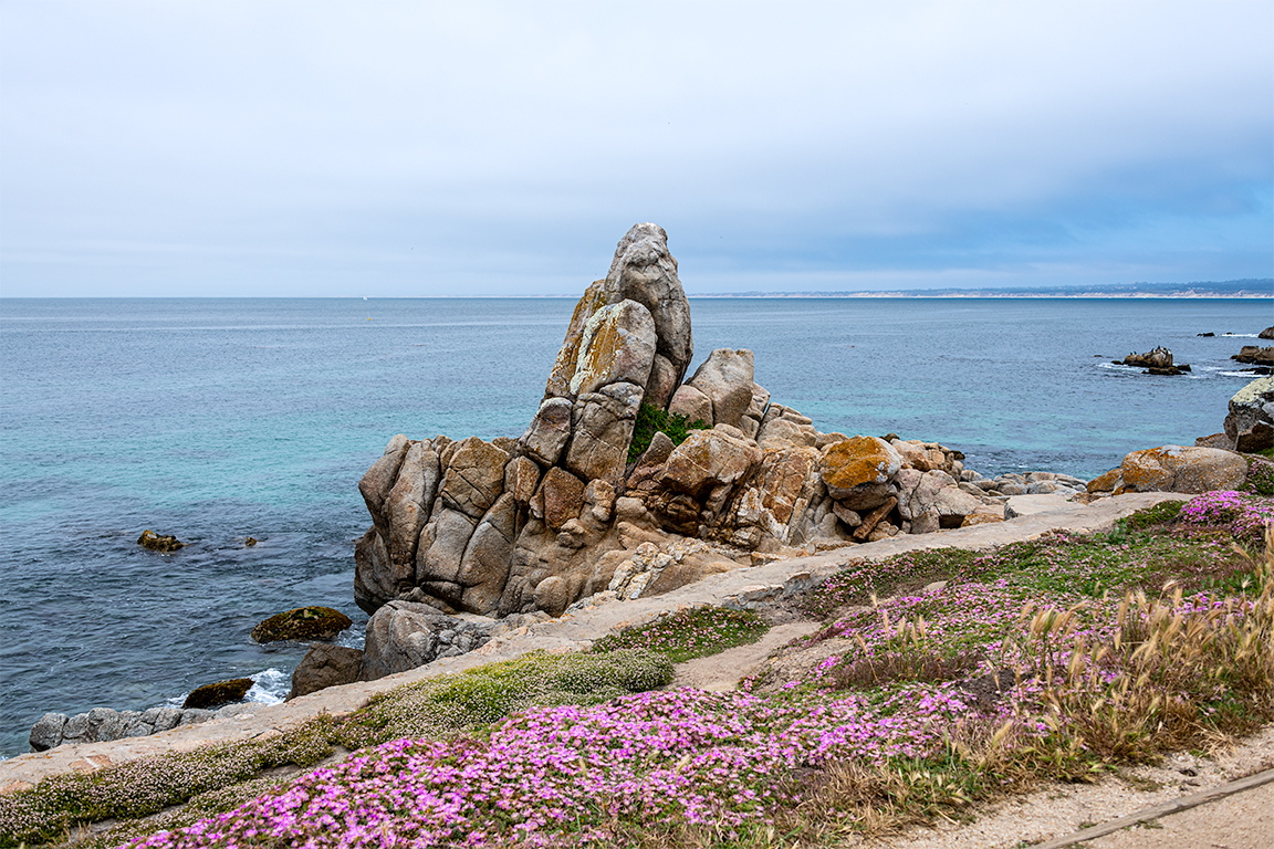 11/25 - Pacific Grove